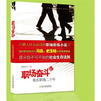 职场奋斗记:我在职场二十年【正版图书】