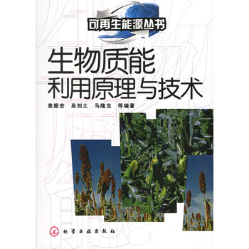 生物质能利用原理与技术 马隆龙  袁振宏 吴