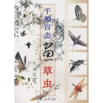 千姿百态画草虫