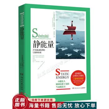 静能量