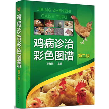 鸡病诊治彩色图谱(第2版) 刁有祥 主编 书籍