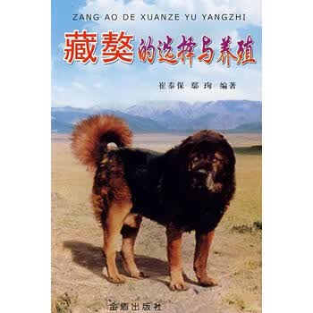 藏獒的选择与养殖