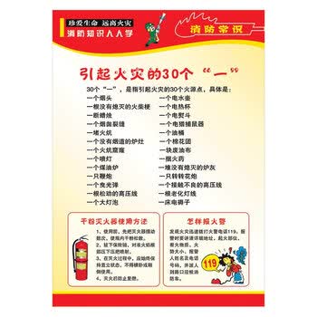 消防安全宣传画挂图海报消防规章制度牌消防安全告知书四个能力墙贴画贴纸VCH VCH04 消防常识 100*70厘米 覆膜防水PP贴纸