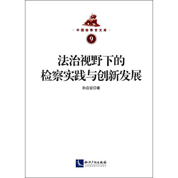 视野下的实践与创新发展