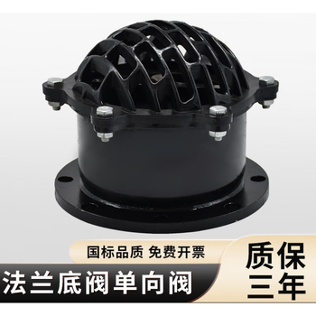 定做H42X-6-10-16法兰底阀单向阀止回阀碳钢水泵抽水泵吸水底阀DN DN200 国标10公斤【图片 价格 品牌 报价】-京东