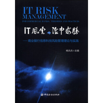 IT风云，险中求胜:商业银行信息科技风险管理理论与实践 杨兵兵 编