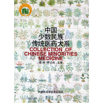 中国少数民族传统医药大系 奇岭,罗达尚 主编【正版书】