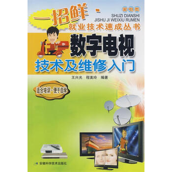 数字电视技术及维修入门 王兴光,程美玲　编著【正版书】