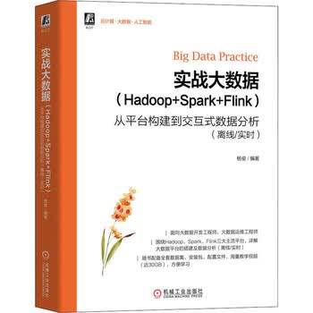 实战大数据(Hadoop+Spark+Flink) 从平台构建到交互式数据分析(