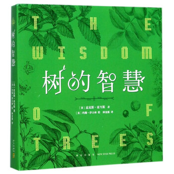 树的智慧