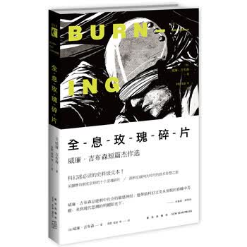 正版图书 全息玫瑰碎片:威廉 吉布森短篇杰作选 威廉·吉布森 新星出版社 9787513311588