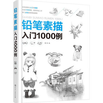 铅笔素描入门1000例