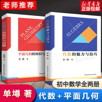 中科大初中数学代数的魅力与技巧+平面几何的知识与问题 单墫 初一初二初三初中数学解题规律方法与技巧
