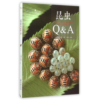 昆虫Q & A(自然观察)