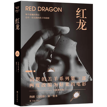 红龙计算机与互联网侦探小说美国现代 图书