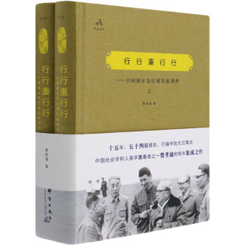 行行重行行——中国城乡及区域发展调查（套装上下册）（精）-民盟智库