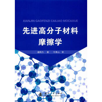 先进高分子材料摩擦学 潘炳力【正版书】