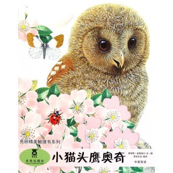 小猫头鹰奥奇(中英双语)/亮丽精美触摸书