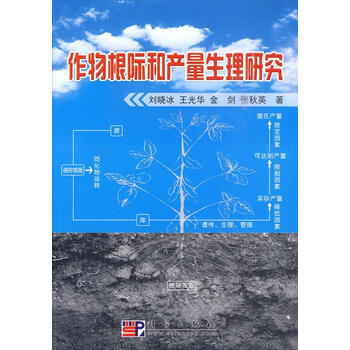 作物根际和产量生理研究