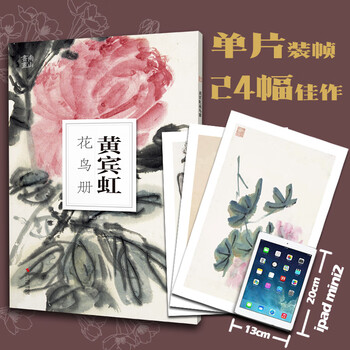 南山册页 黄宾虹花鸟册 南山书画历代名家册页鉴赏临摹画册 初学者临摹欣赏装饰素材中国画花鸟画技法作品