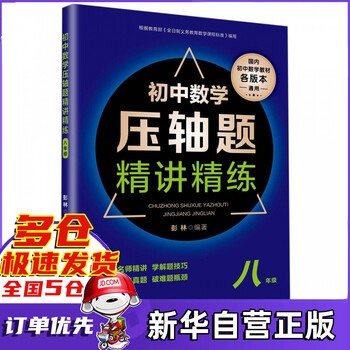 初中数学压轴题精讲精练(8年级国内初中数学教材各版本通用)