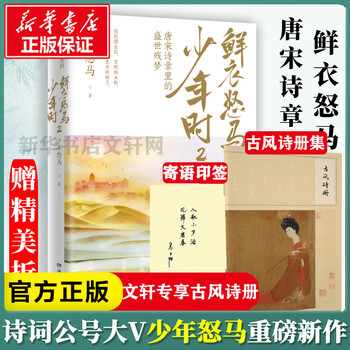 【赠精美折页 文轩定制填字簿诗句+印签】鲜衣怒马少年时2：唐宋诗章里的盛世残梦 图书