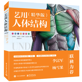艺用人体结构（精华版书籍 电子工业出版社