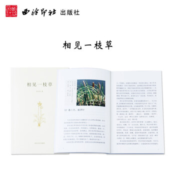 相见一枝草 精选50篇文章合为一辑 狗尾巴草艾芹紫云英湖羊草蒲公英菖蒲铁苋菜星宿菜忘忧草等等植物性态功用介绍草本植物普及读物\x0a