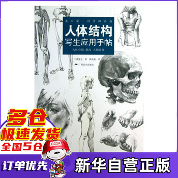 人体结构写生应用手帖