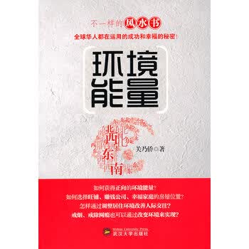 [正版图书] 环境能量 关乃侨 武汉大学出版社 9787307086876