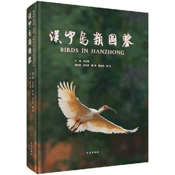 汉中鸟类图鉴 科学出版社