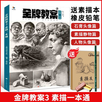 【】金牌教案3素描一本通2021烈公文化林荣轩组合石膏像几何体结构静物精微范画对临头像经典