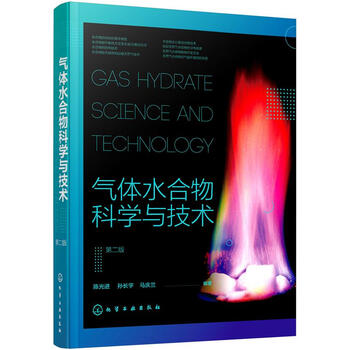 气体水合物科学与技术