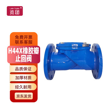 【览团DN50】览团H44X-16橡胶瓣止回阀球墨铸铁法兰单向阀排污水 DN50 一个价 【行情 报价 价格 评测】-京东