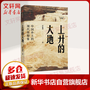 上升的大地 中国乡土的现代性想象