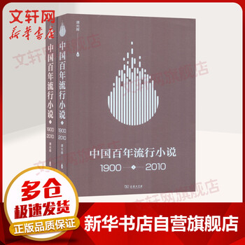 中国百年流行小说 1900-2010