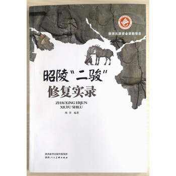 昭陵二骏修复实录