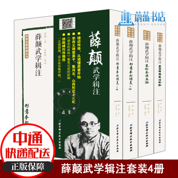 薛颠武学辑注 套装全四册形意拳术讲义上下编象形拳法真诠 体育 武术兴趣爱好者 书籍