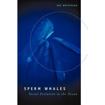 Sperm Whales