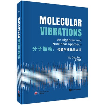 Molecular Vibrations: An Algebraic and Nonlinear