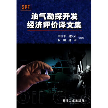 【正版图书】 油气勘探开发经济评价译文集 刘圣刚 等 译 石油工业出版社