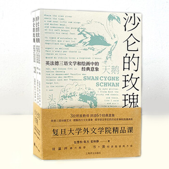 沙仑的玫瑰 英法德三语文学和绘画中的经典意象 复旦大学外文学院精品课 包慧怡著 上海译文出