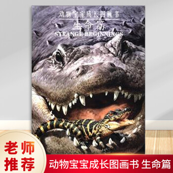 正版 动物宝宝成长图画书生命篇