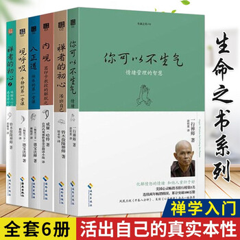 共6册 你可以不生气+内观+八正道+观呼吸+禅者的初心2 一行禅师禅修情绪管理心理学哲学书籍