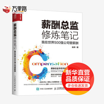 薪酬总监修炼笔记 我在世界500强公司管薪酬