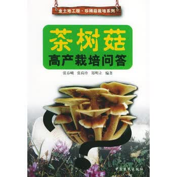 茶树菇高产栽培问答