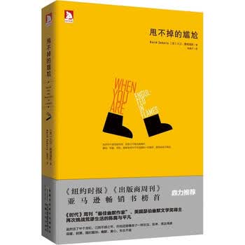 甩不掉的尴尬:包罗万象的话题，轻松幽默的语言,童心未泯与成熟机智的奇妙混搭 (美)大卫•赛德瑞斯 著