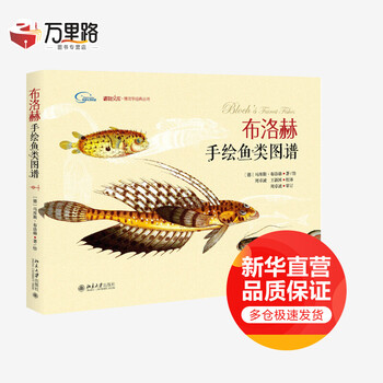 布洛赫手绘鱼类图谱