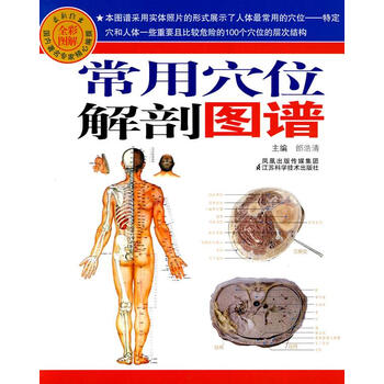 常用穴位解剖图谱
