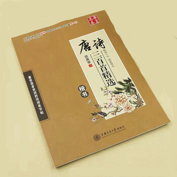 唐诗三百首 楷书 学生临摹练字钢笔楷体字帖